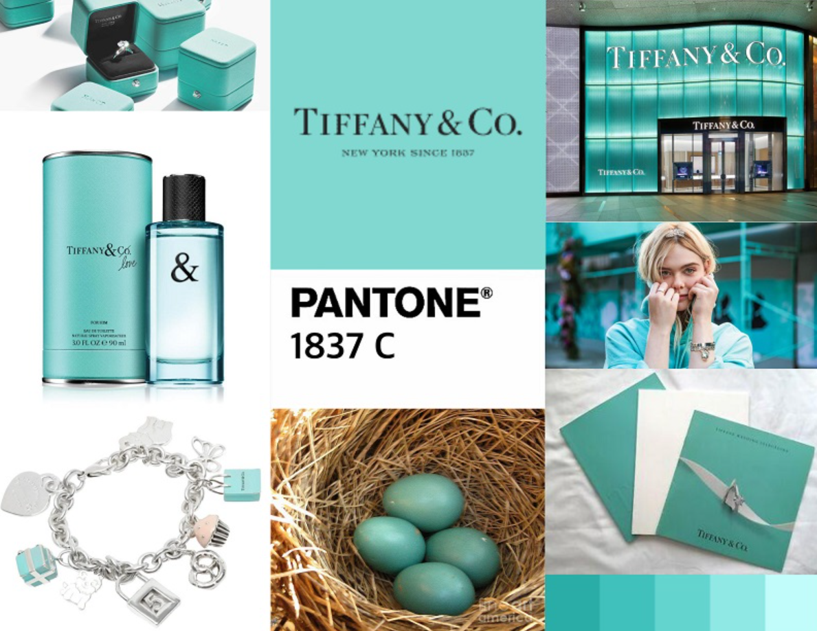 Discover Pantone: The Language of Color in Modern Design